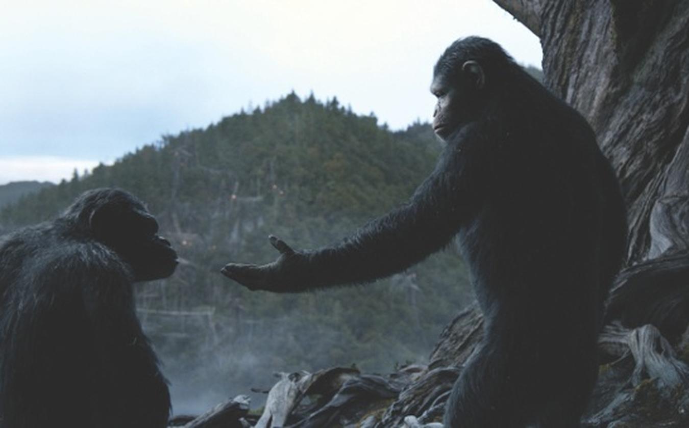 Top 25 Casting Directors in Film and Television | Backstage