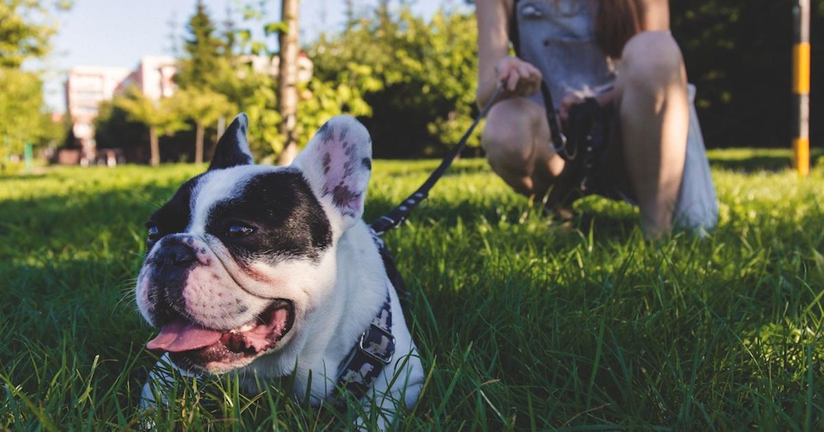 The 10 Best Survival Jobs for Actors According to an Acting Coach ...