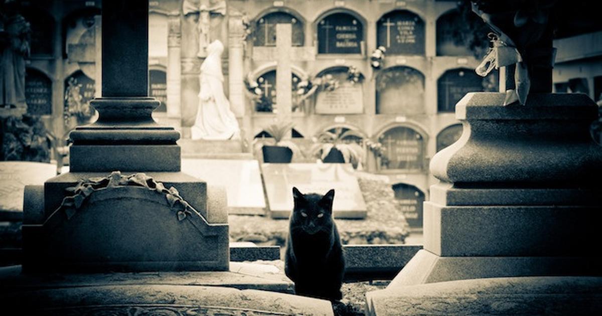 ‘Pet Sematary’ Gets Resurrected