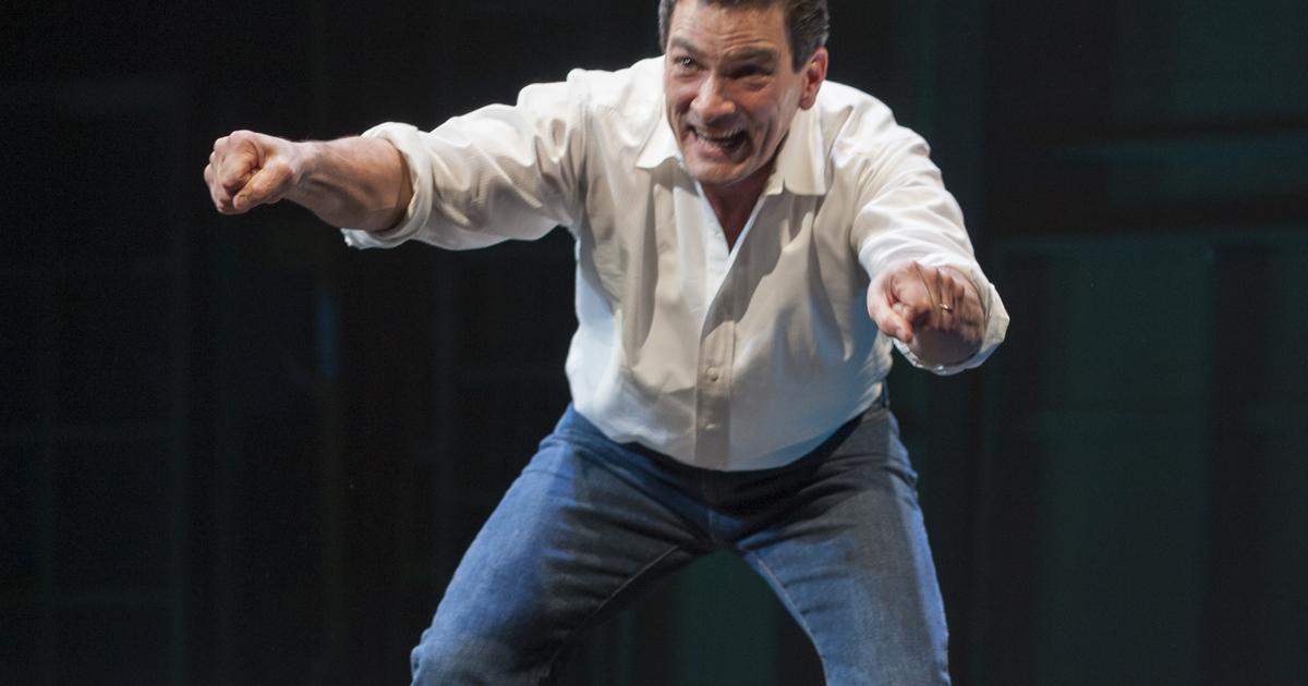 Splendid 'In Acting Shakespeare' Recounts an Actor's Journey