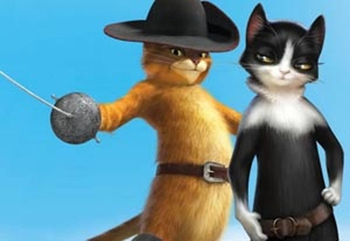 5 Most Memorable Movie Cats