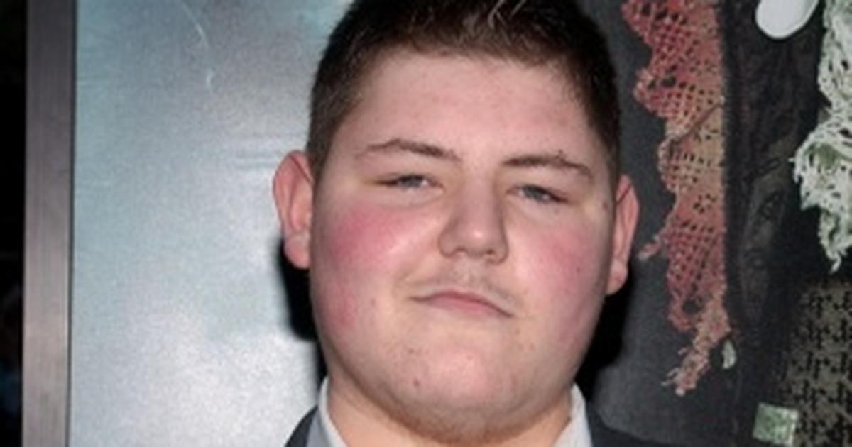 Harry Potter Actor Sentenced to Community Service