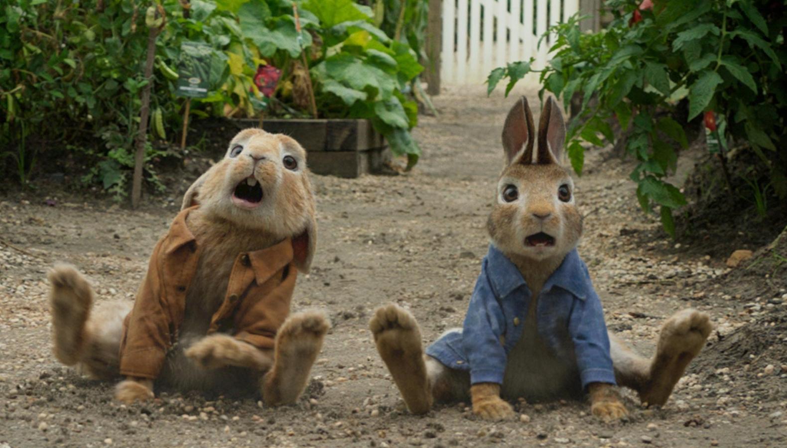 UK What’s Filming: Peter Rabbit Sequel Starring James Corden, Rose ...