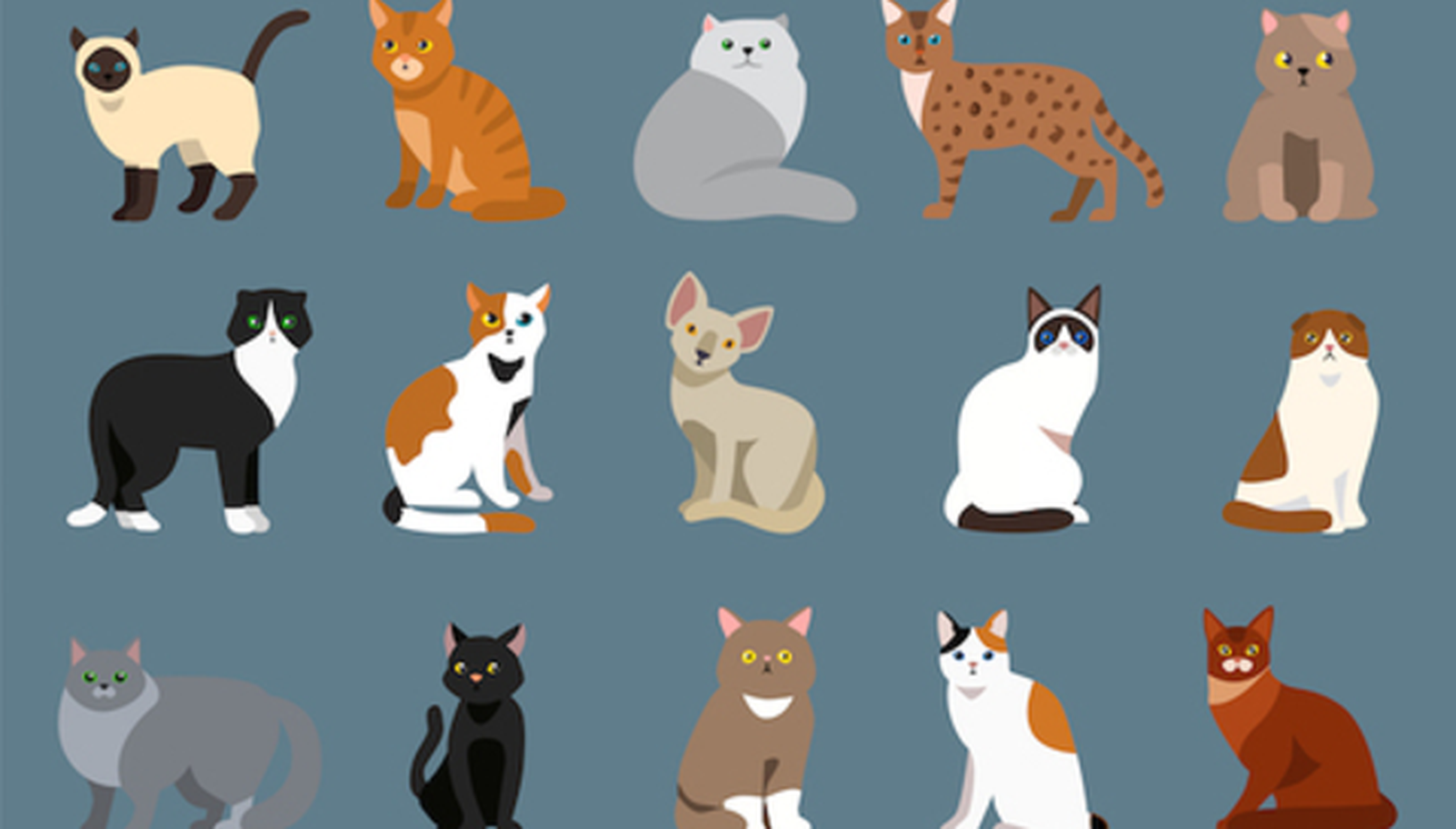 L.A. Now Casting: Earn $1,000 as the Boy Hero in Animated ‘Cats’ Web Series