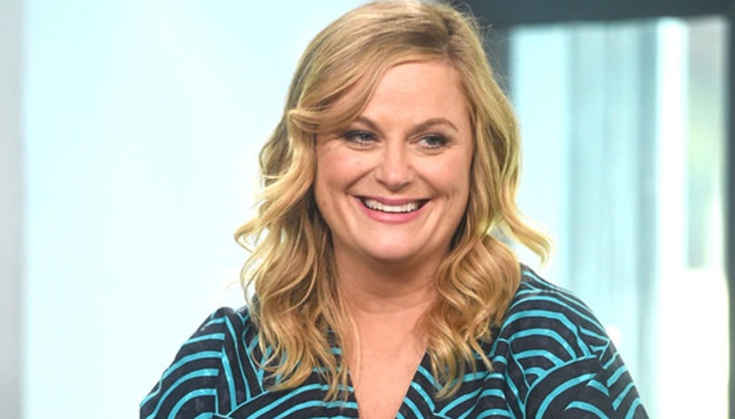 Greenlit: Netflix Comedy Series Unites Amy Poehler, Natasha Lyonne ...
