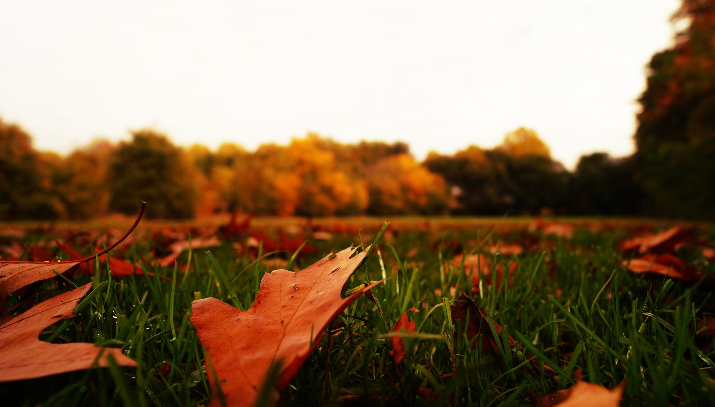 8 Ways Performers Can Make a Healthy Transition from Summer to Fall