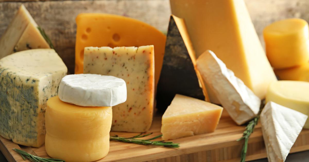 Now Casting: A Premium Cheese Photo Shoot Needs Talent + 3 More Gigs