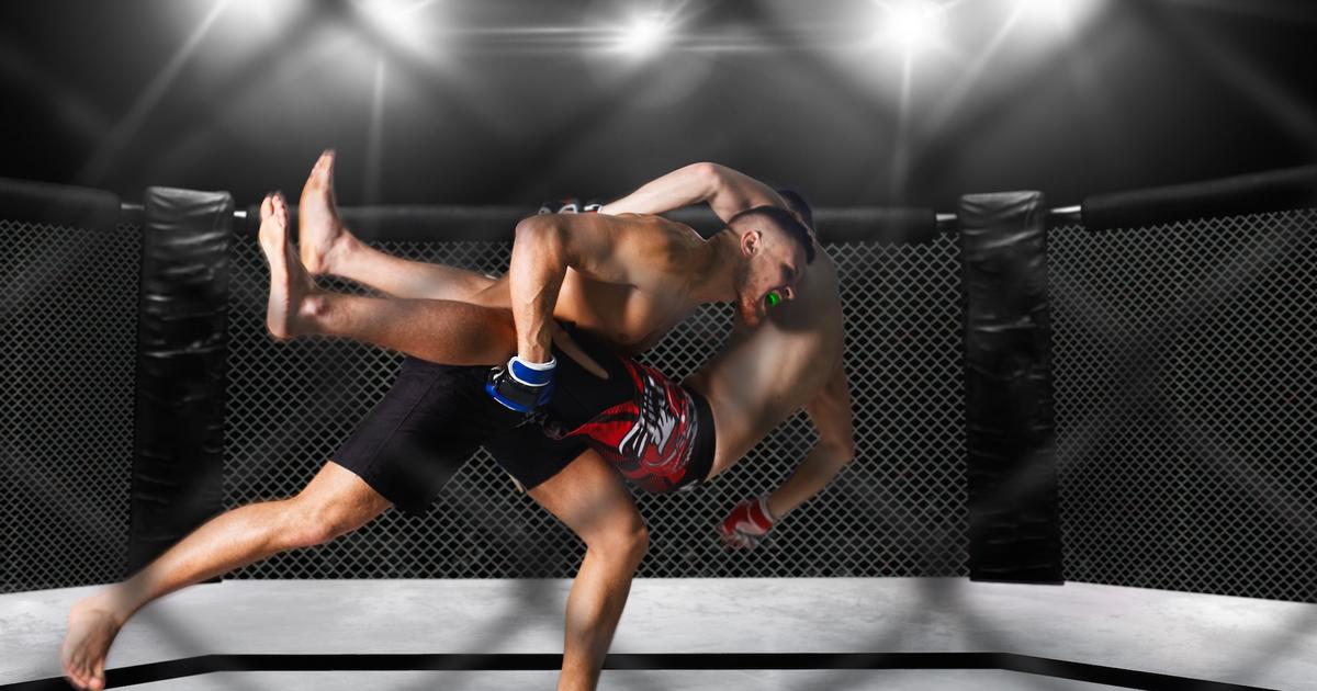 Now Casting: Earn $14,000 Starring in an MMA-Themed TV Series