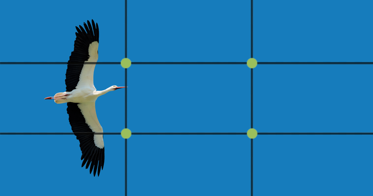Rule of Thirds: Definition and Examples in Film | Backstage