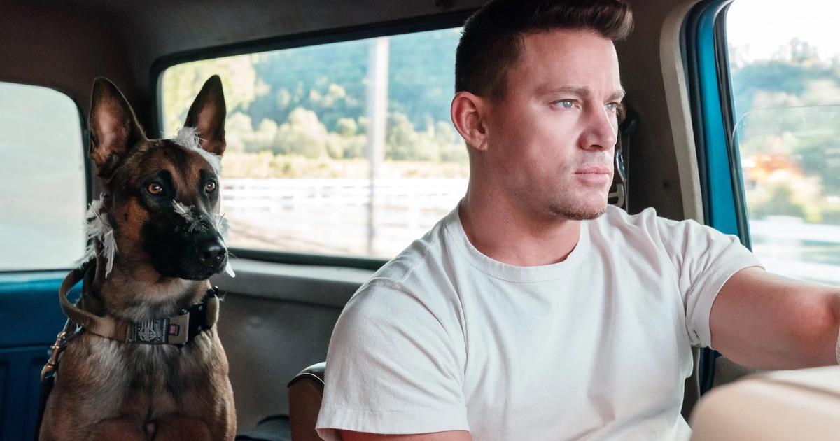 How to Act With Animals| Backstage