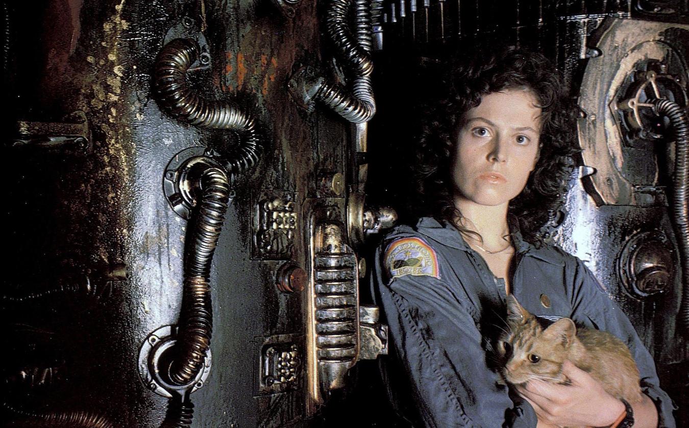 How to Get on Reality TV | Backstage