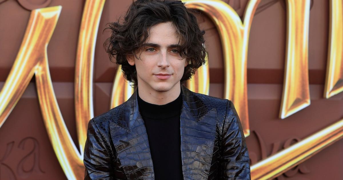 Now Casting: An A24 Film Starring Timothée Chalamet Needs Talent ...