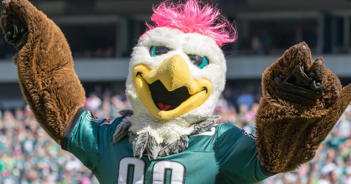 How to Become a Mascot: Your Guide to the Wildest Job in Sports and ...