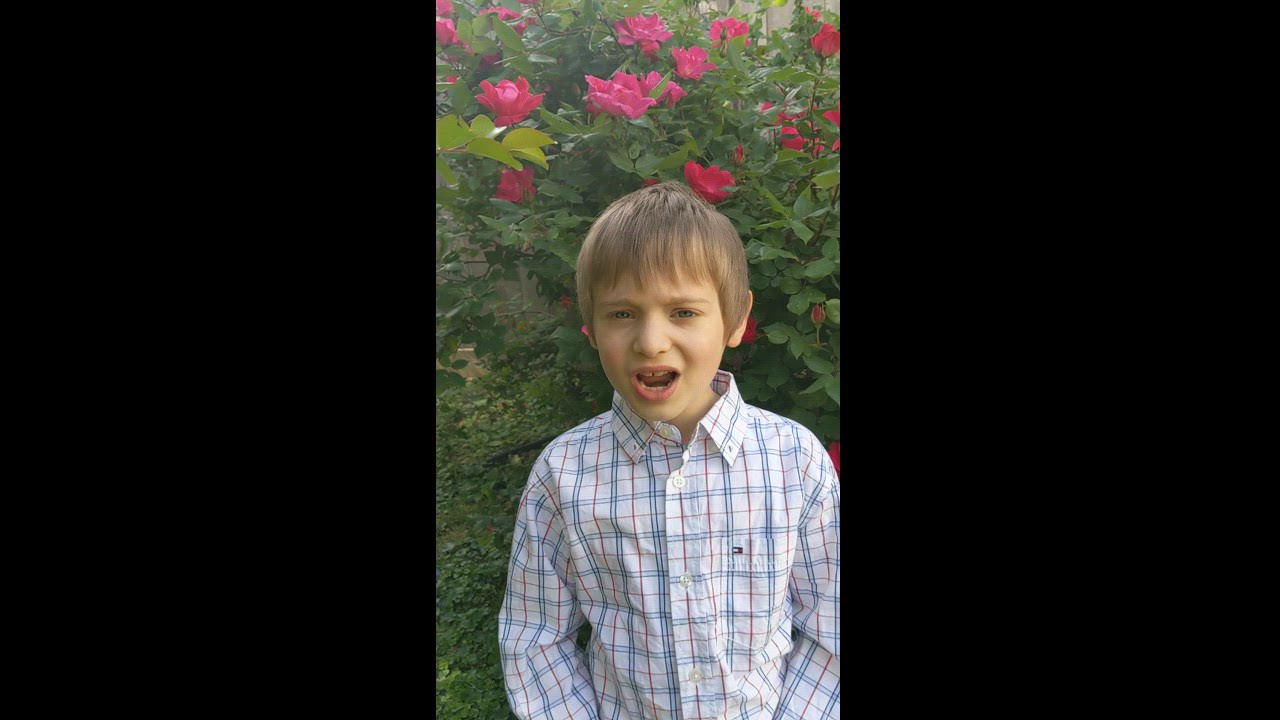 Raphael Sommer Cellist