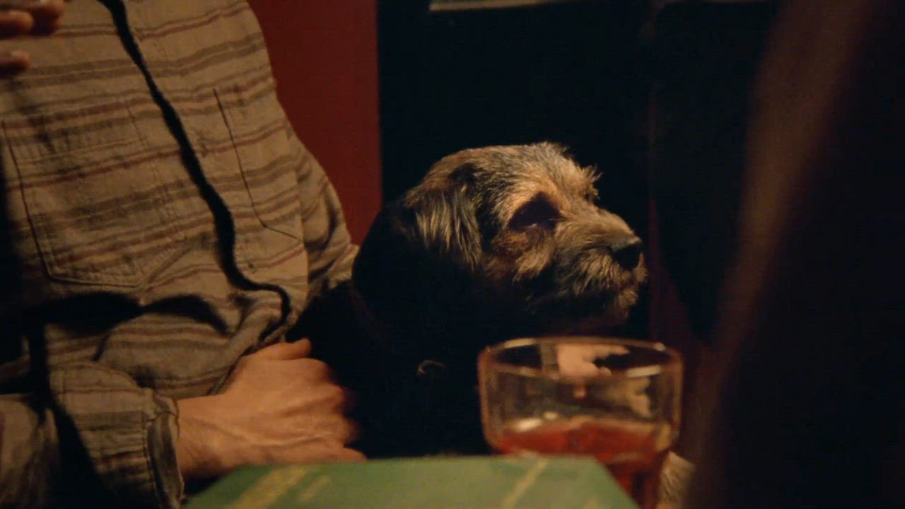 Joey Ellis - Professional Profile, Photos on Mandy