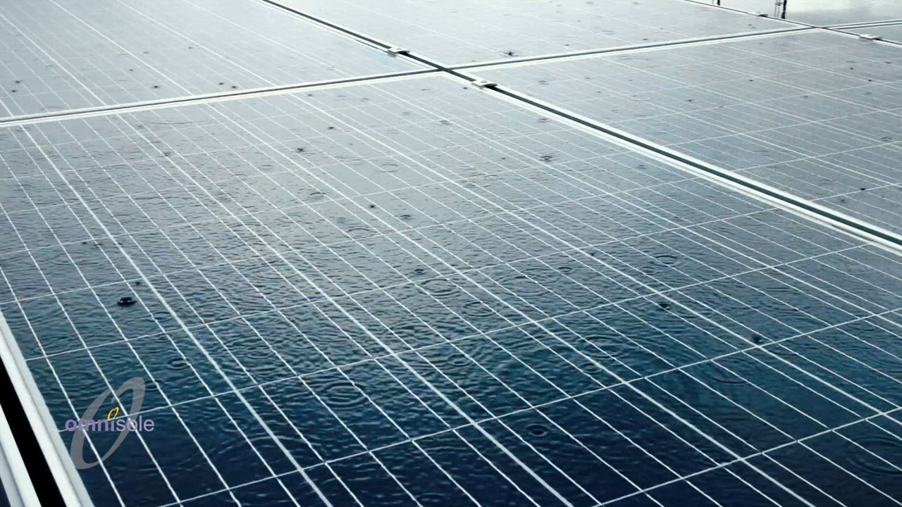 Dominic D'Angelo - Professional Profile, Photos on Mandy