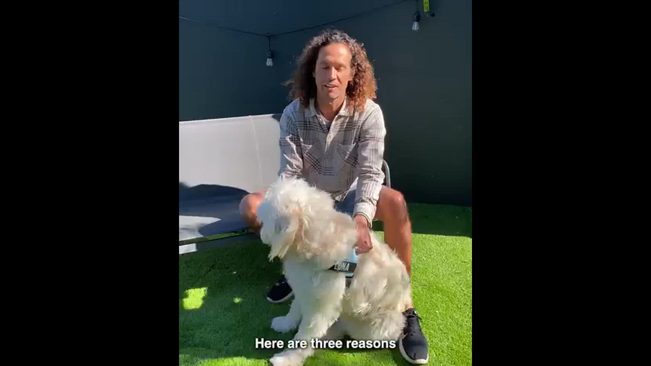 Jed Chegwidden - Professional Profile, Photos on StarNow - Actor