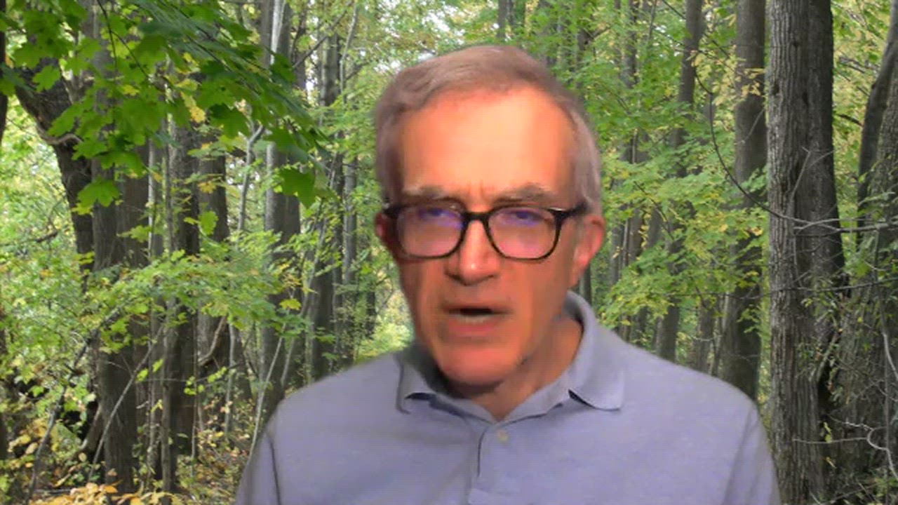 Robert Scavone - Professional Profile, Photos on Mandy