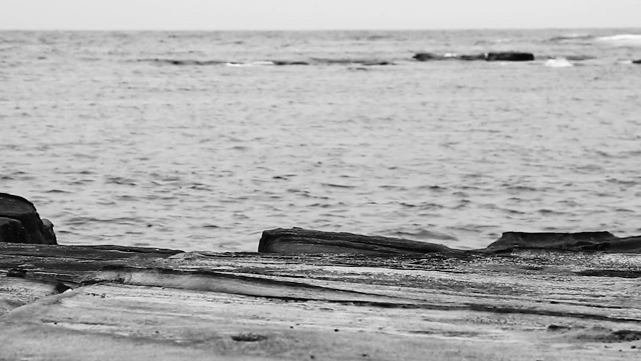 Guy Fenton - Professional Profile, Photos on StarNow